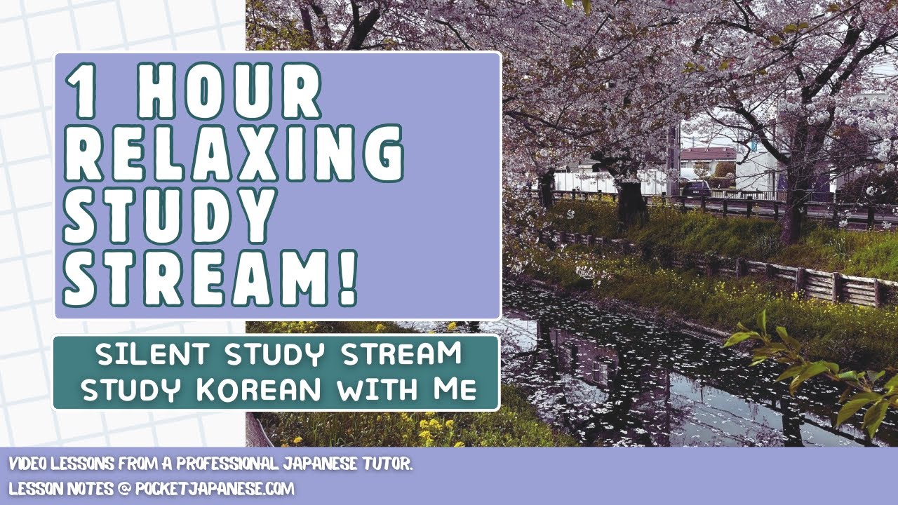Study with me | 1 Hour relaxing study stream - YouTube