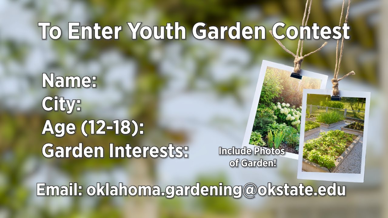 Youth Garden Contest Announcement - YouTube