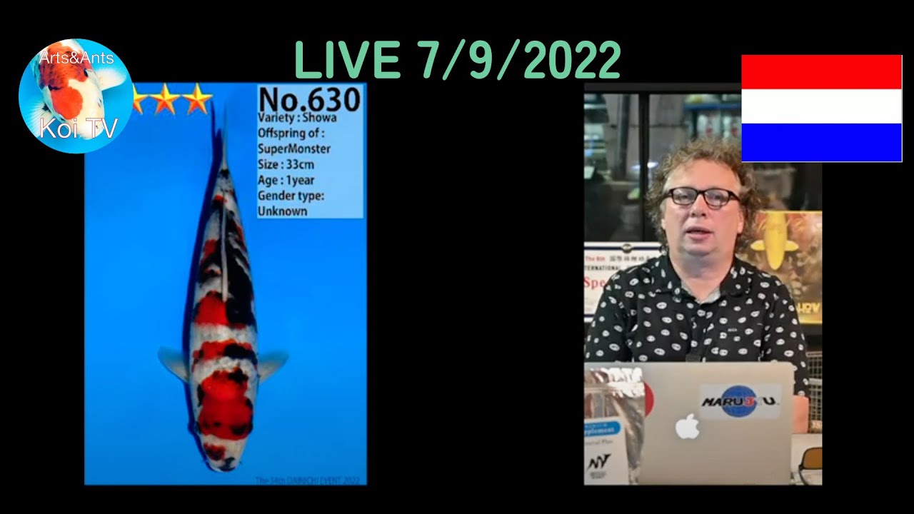 KOI TV LIVESTREAM Q&A woensdag 7 september - YouTube