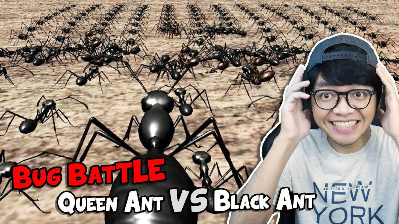 Queen Ant VS Black Ant VS Lady Bug VS Cricket VS Grasshopper | Bug ...
