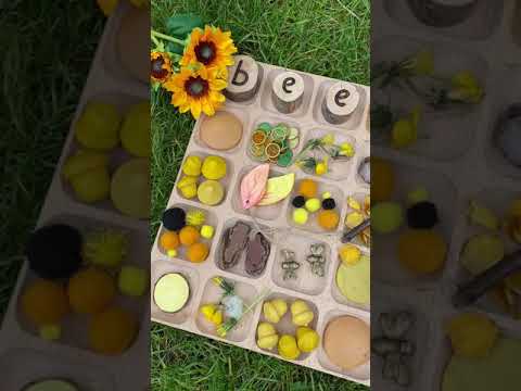 World Bee Day activity for children - YouTube