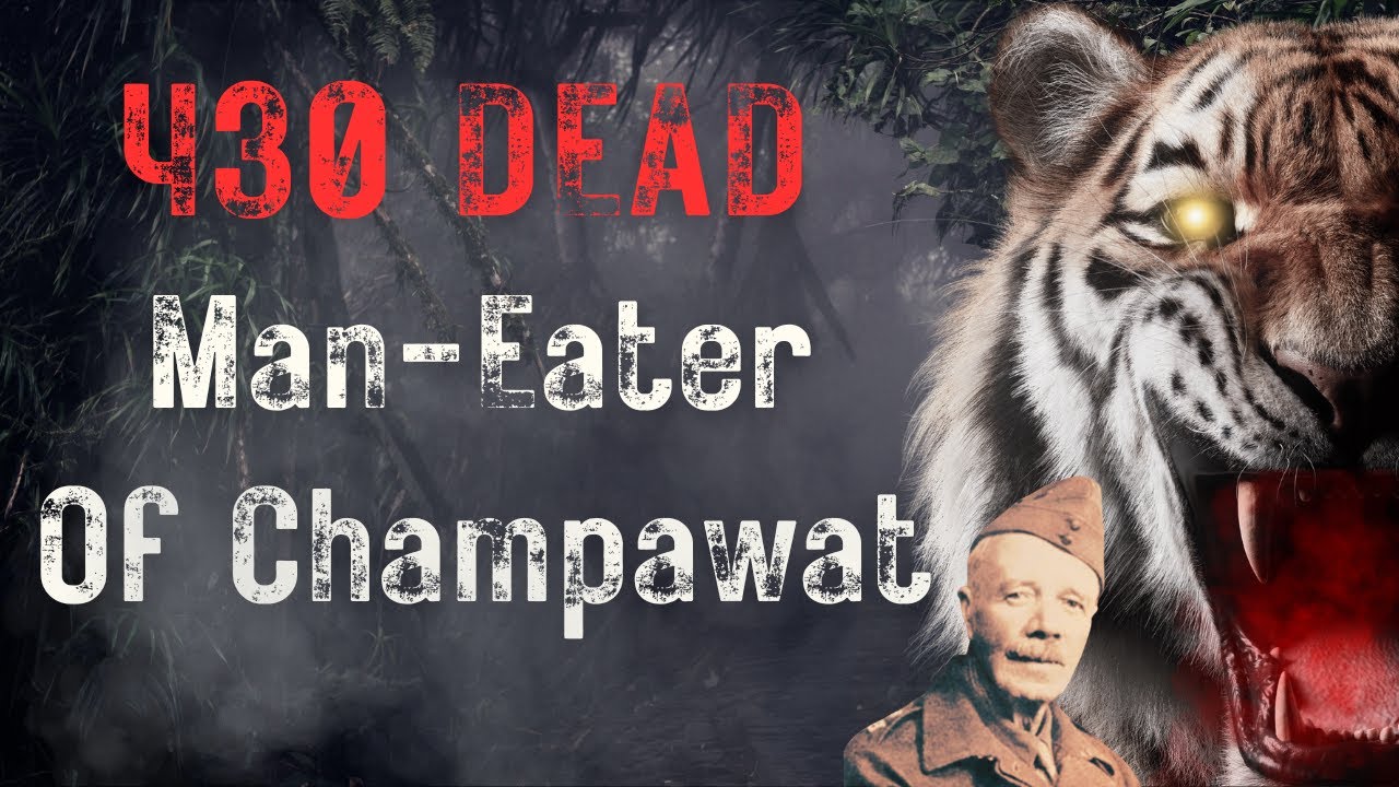 Champawat Tiger: The Bloodthirsty Man-Eater That Terrorized India - YouTube