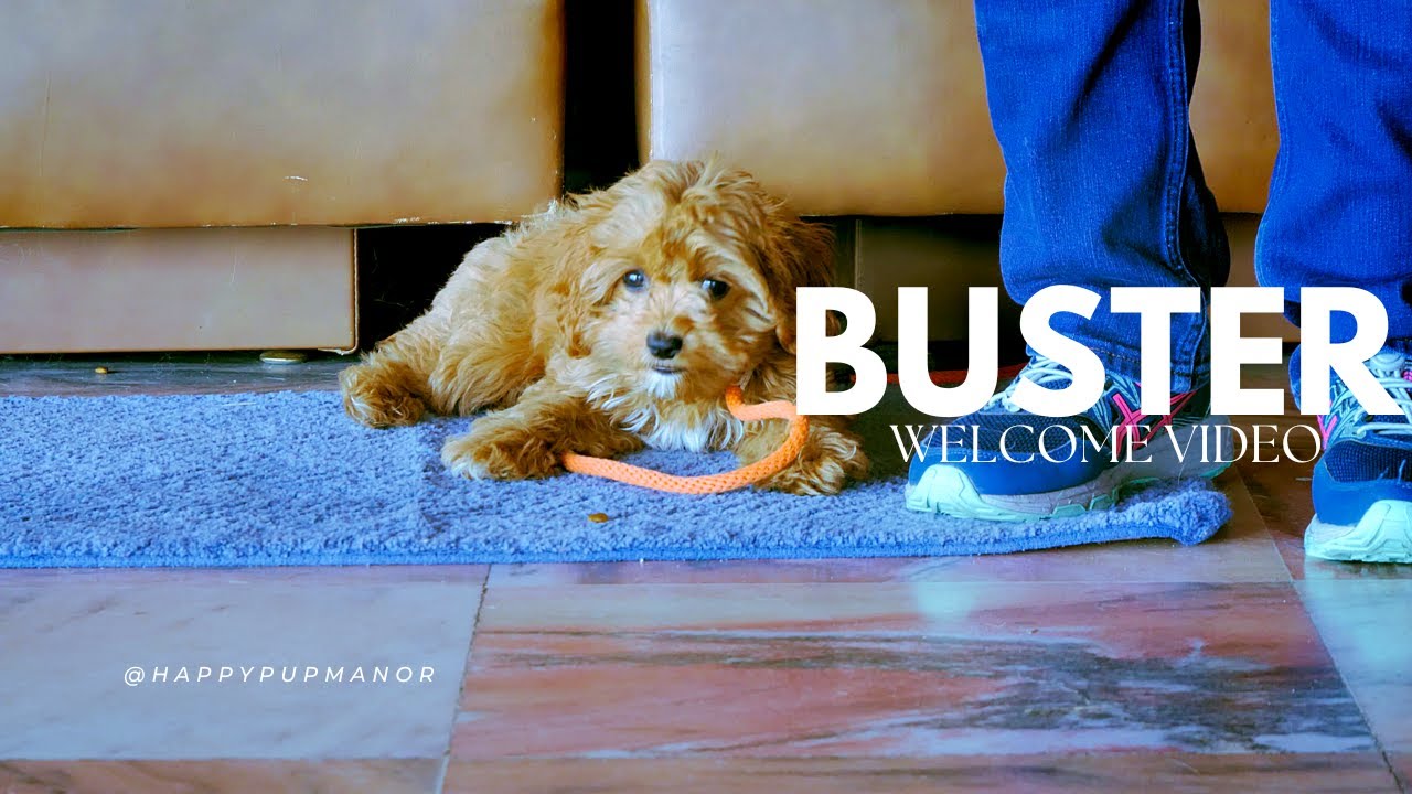 Welcome Buster - YouTube