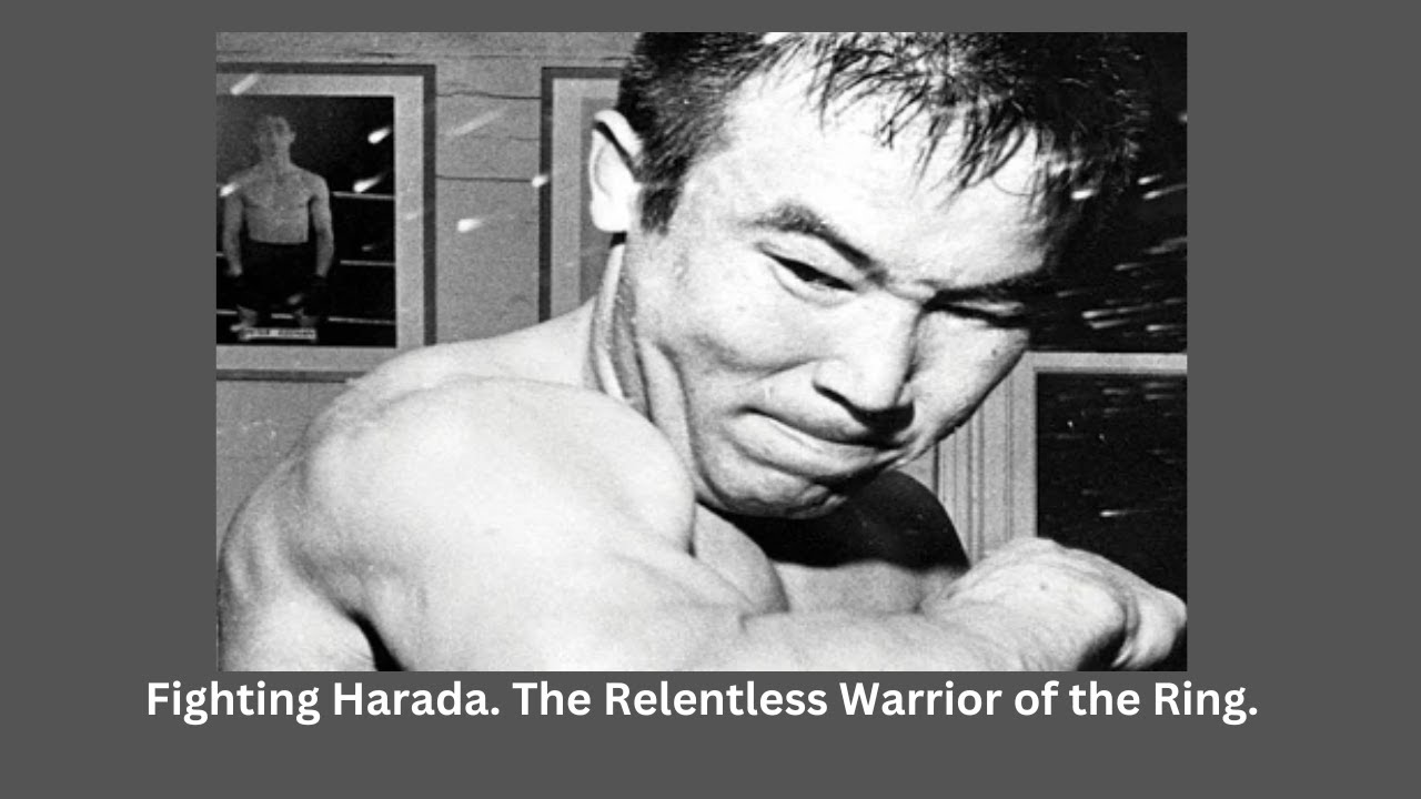 Fighting Harada. The Relentless Warrior of the Ring. A Legendary Boxing Career. #japanboxing ...