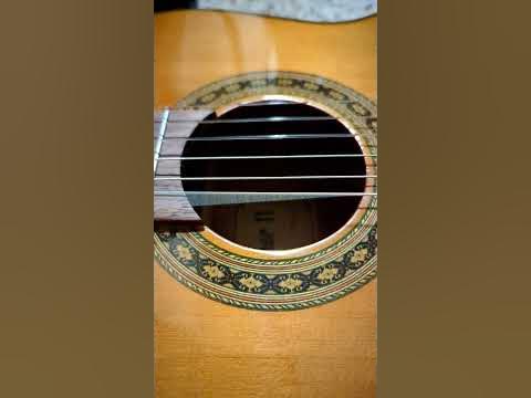 How does a guitar make sound? 🎸 #guitar #howdoesitwork - YouTube