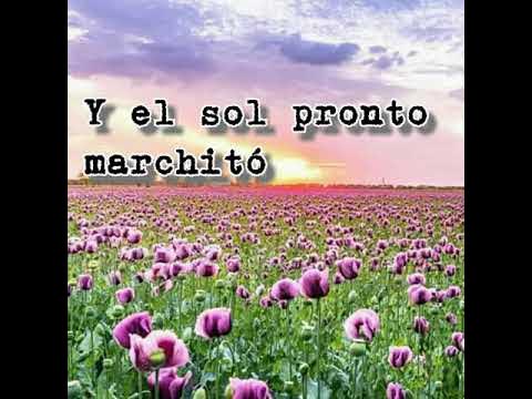 Al suelo vi caer una flor, Sayra Zetino - YouTube