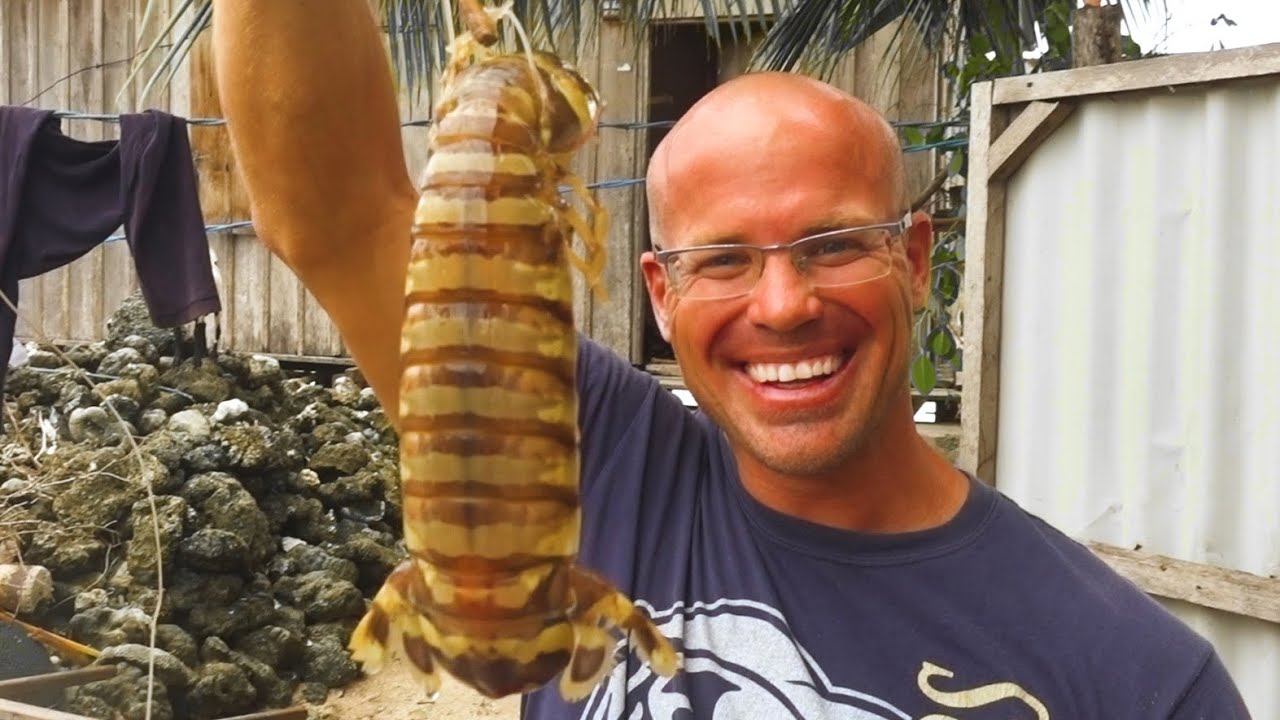 INDO TALES - EPISODE 25 Giant mantis shrimp catch and cook - YouTube