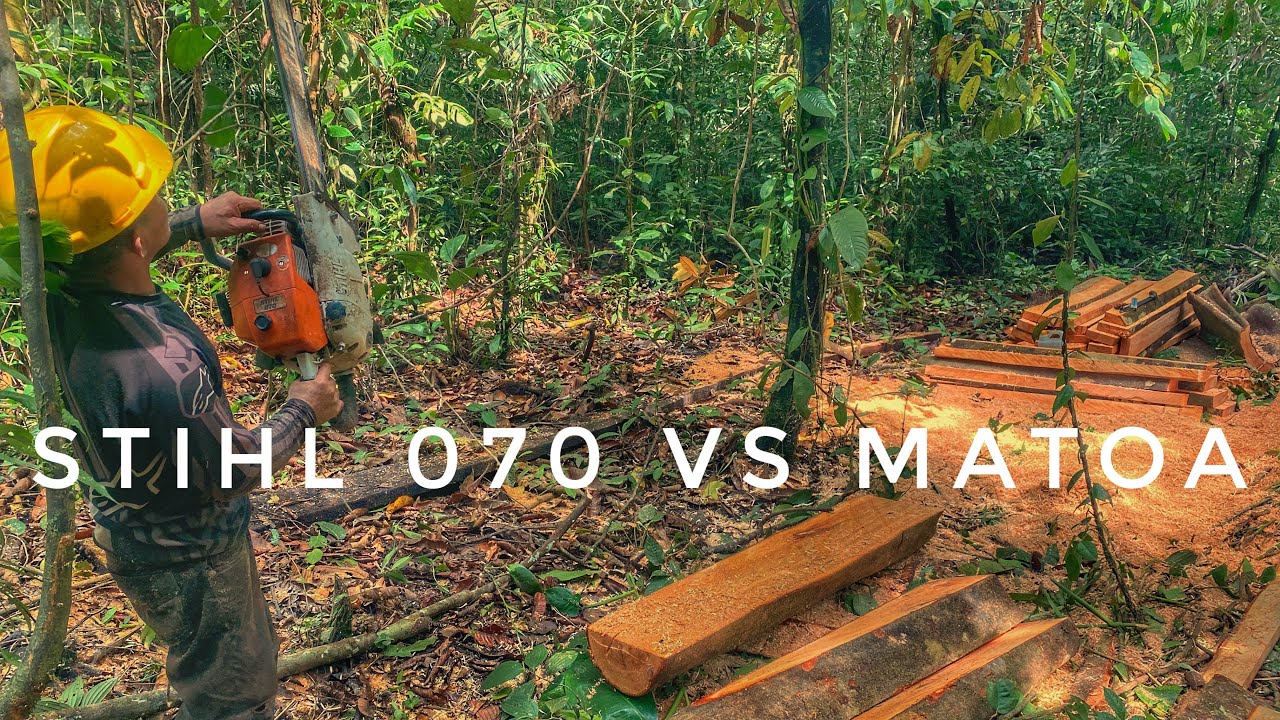 OLAH KAYU MATOA UNTUK BANTALAN REL - YouTube