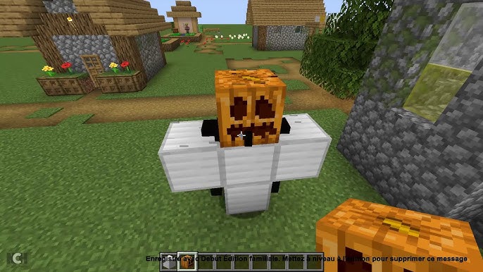 Recette De Golem Pour Minecraft