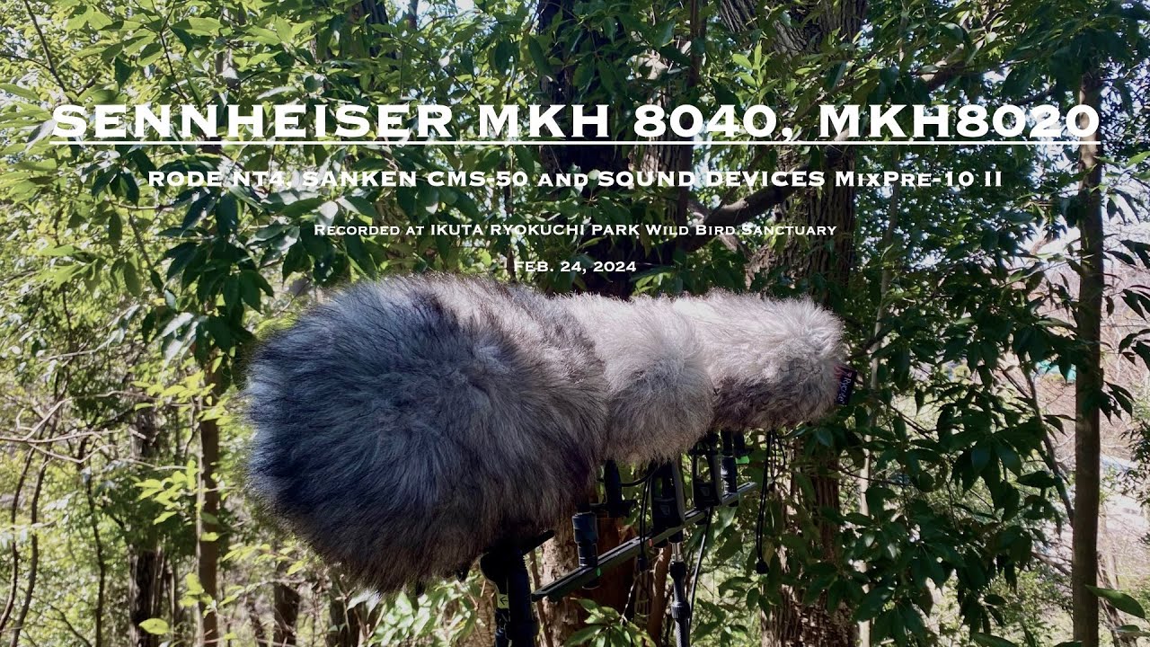 SENNHEISER MKH 8040 and MKH 8020 - YouTube