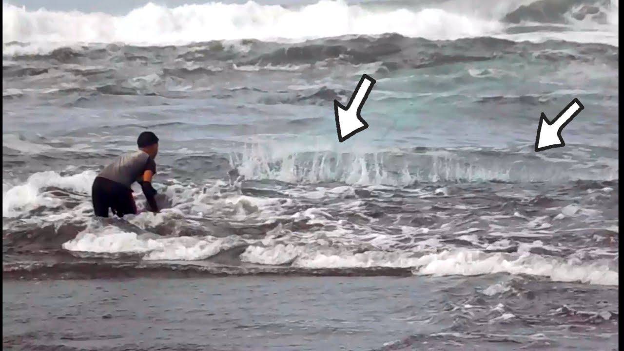 les tiro la atarraya en el mar y no se esperaba que fueran tantas así ...