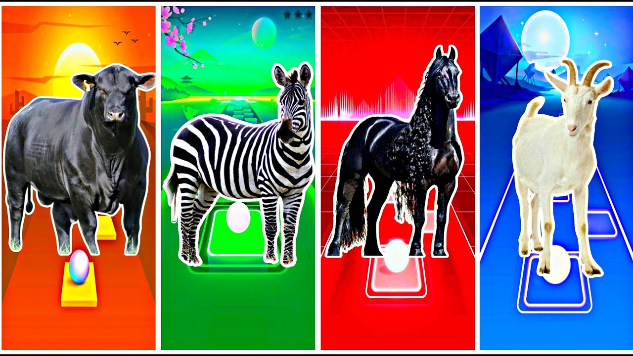 Funny Goat 🆚 Funny Bull 🆚 Funny Horse 🆚 Funny Zebra 🆚 Who will Win ...