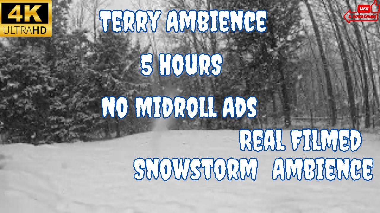 4k Real Forest Snowstorm Loop Ambience 5 Hours Full Screen 04 24 25 ...