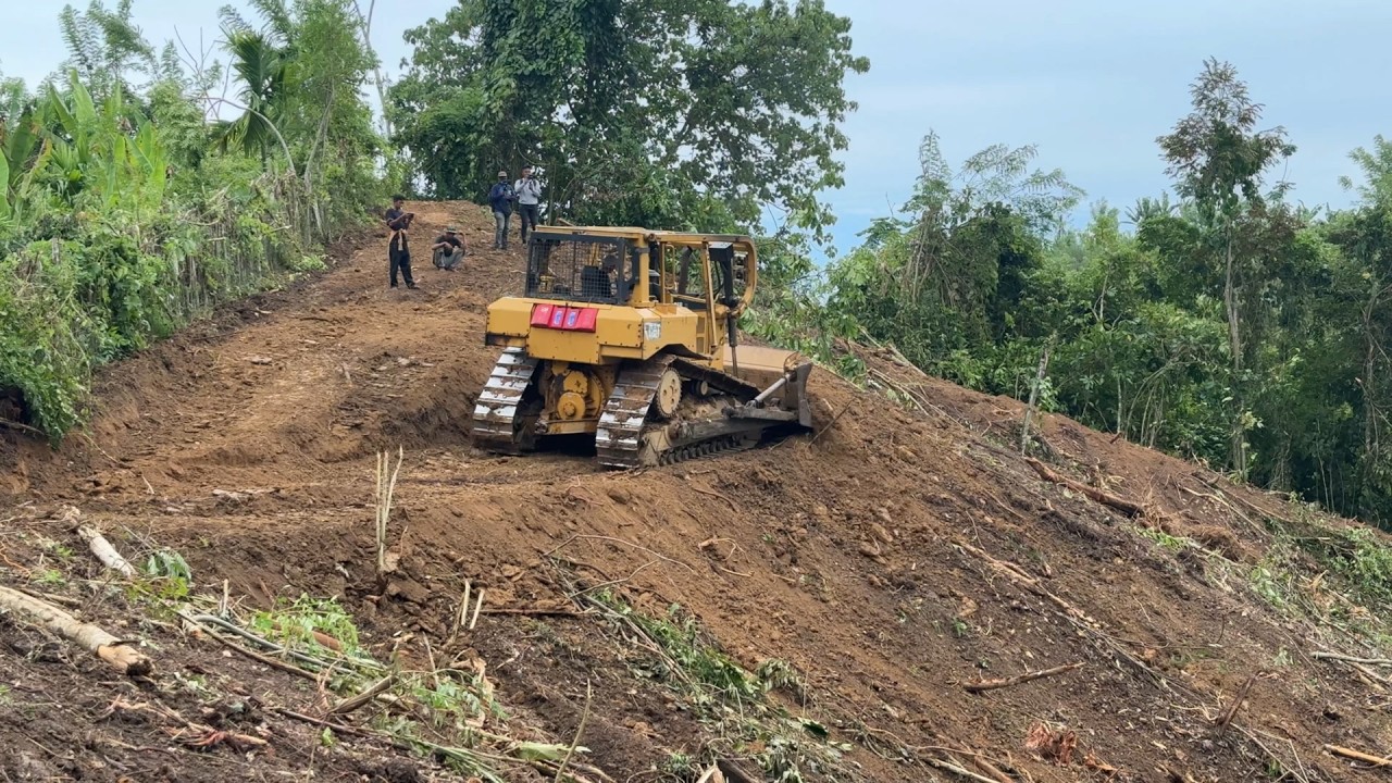 Effective Strategy for Forming D6R XL Bulldozer Palm Terrace Revealed ...