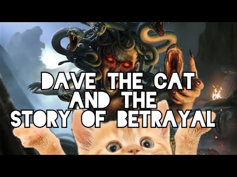 Dave the cat and the story of betrayal - YouTube