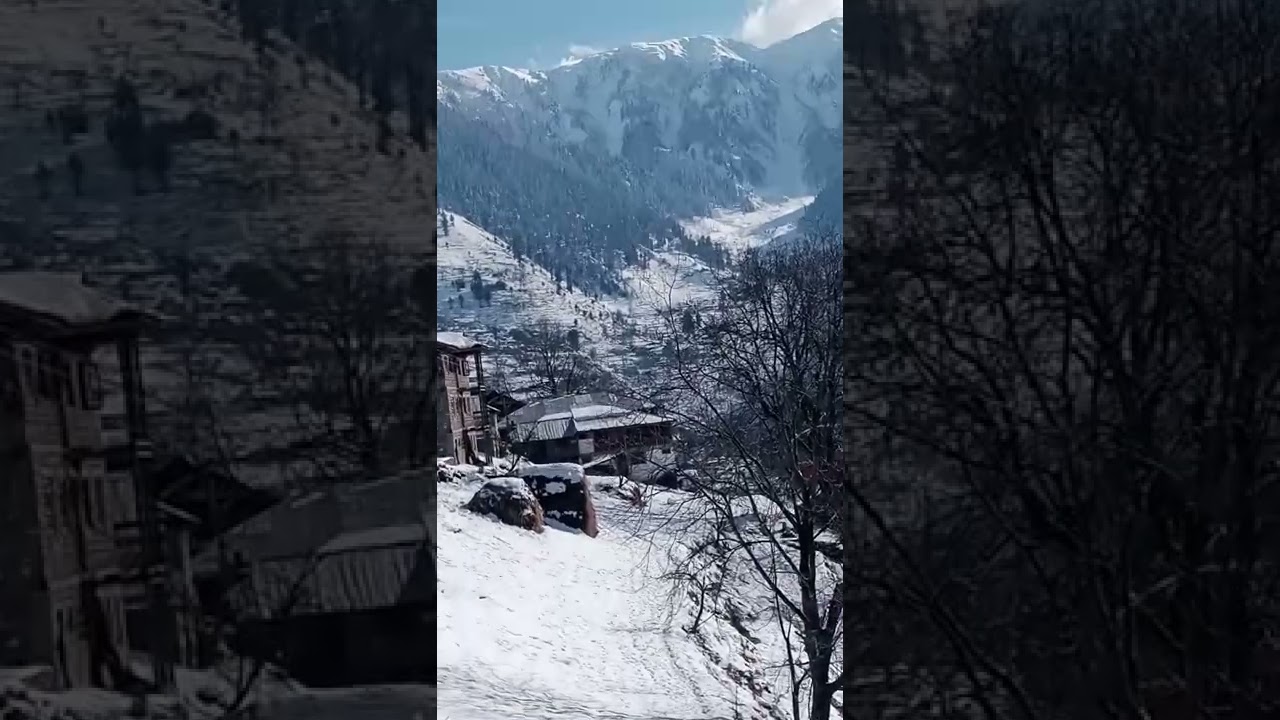 beautiful full place 😍🥰 - YouTube