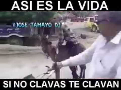 Nnsnzld. X bdkdn. D dndndnd dndnddndndkdkdkendnd dnwkd - YouTube