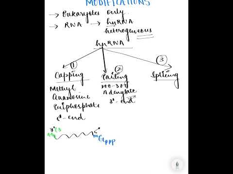Class-XII- Biology- Molecular Basis of Inheritance- Post ...