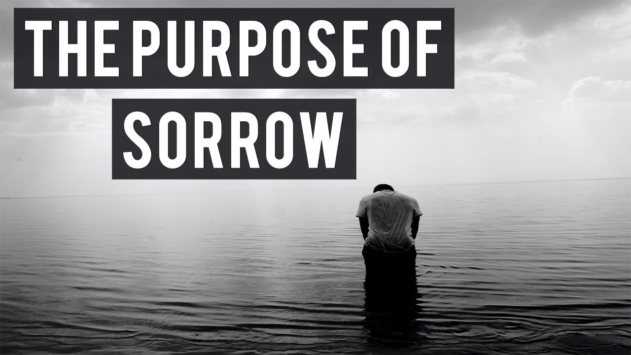 The purpose of sorrow - YouTube