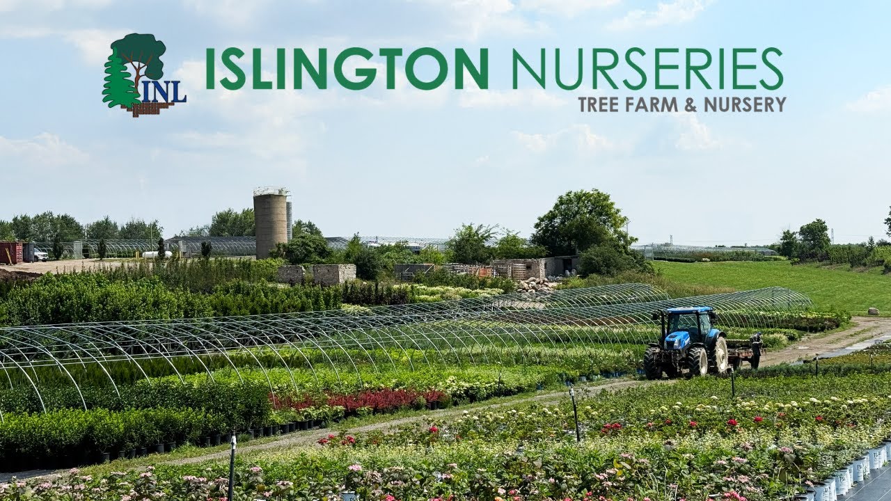 Introducing Islington Nurseries Tree Farm - YouTube