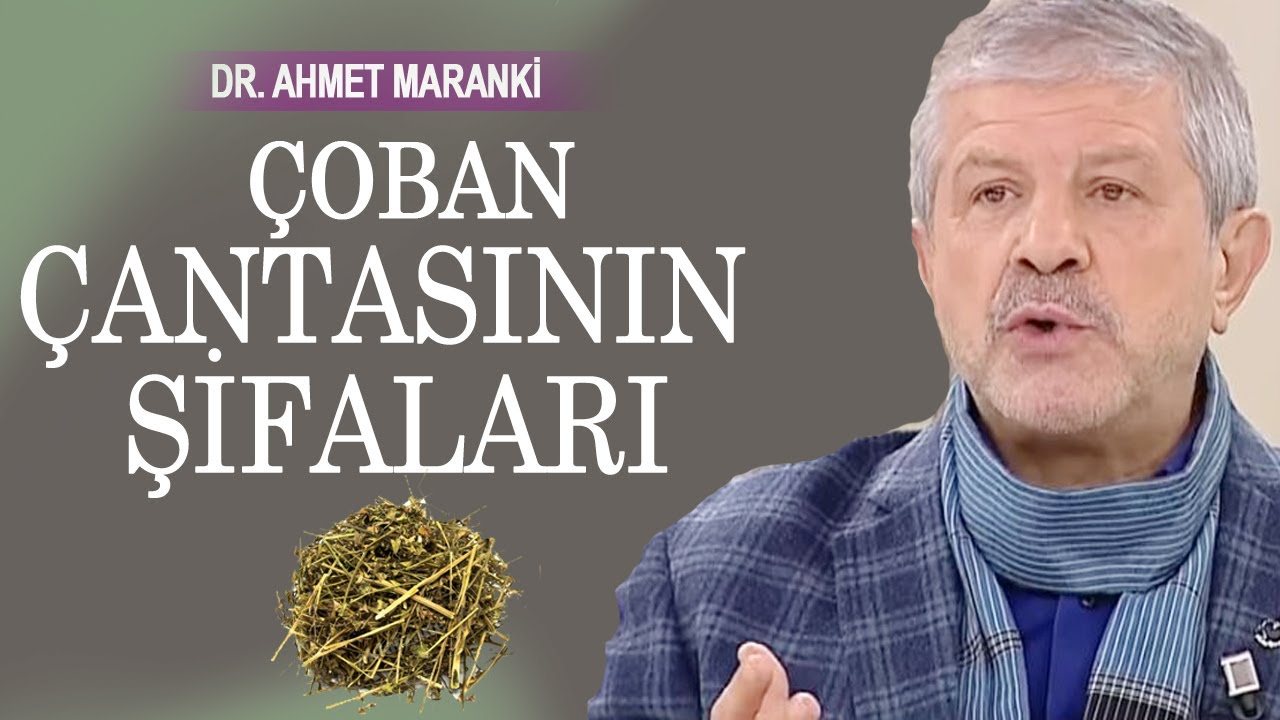Dr. Ahmet Maranki'den çoban çantasının şifaları - YouTube