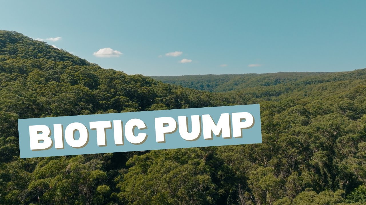 3. Building a Biotic Pump | Cool The Country - YouTube