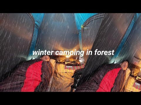 Winter camping in forest | solo camping in uttarakhand | deep forest ...