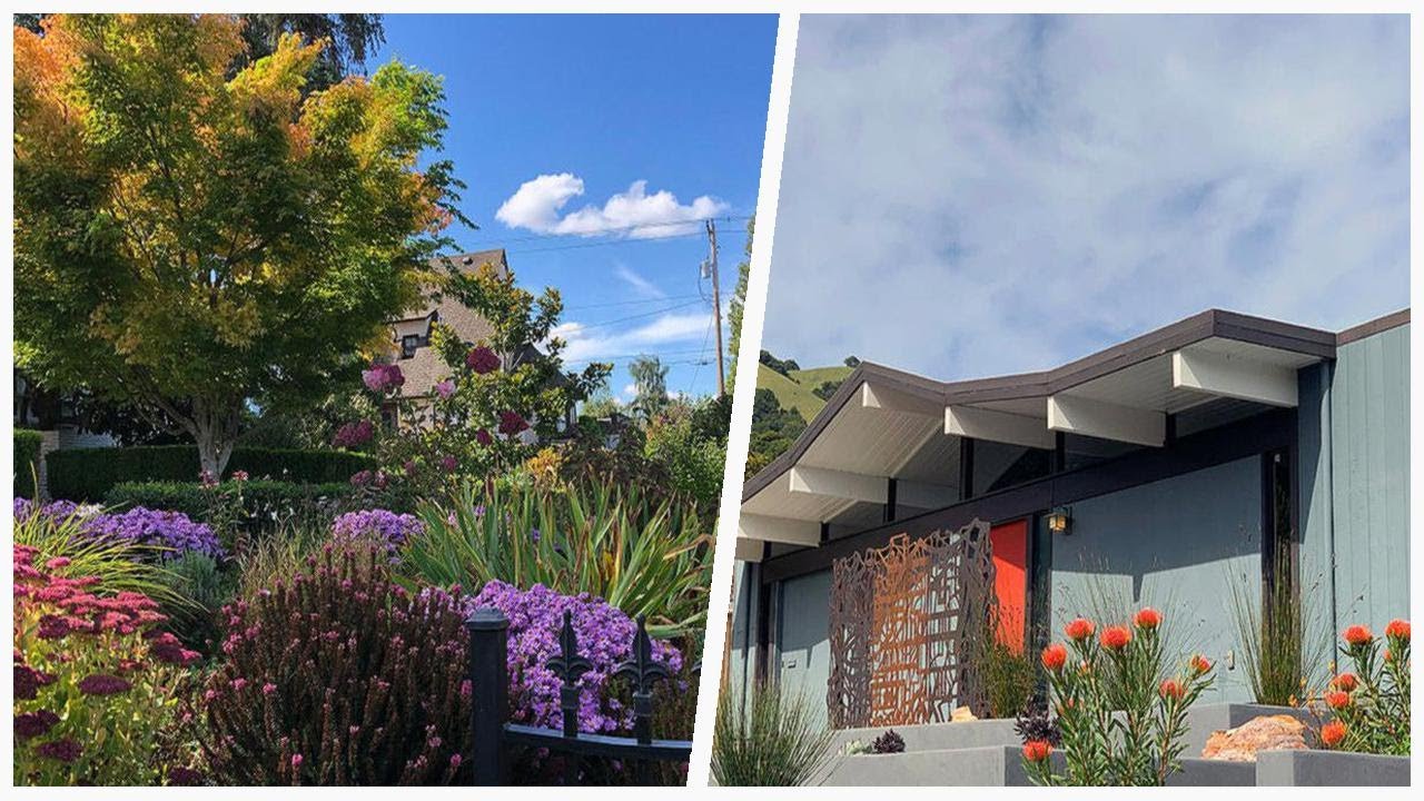 Overcoming Blue Plant Limitations in Landscaping | Designer CheatSheet