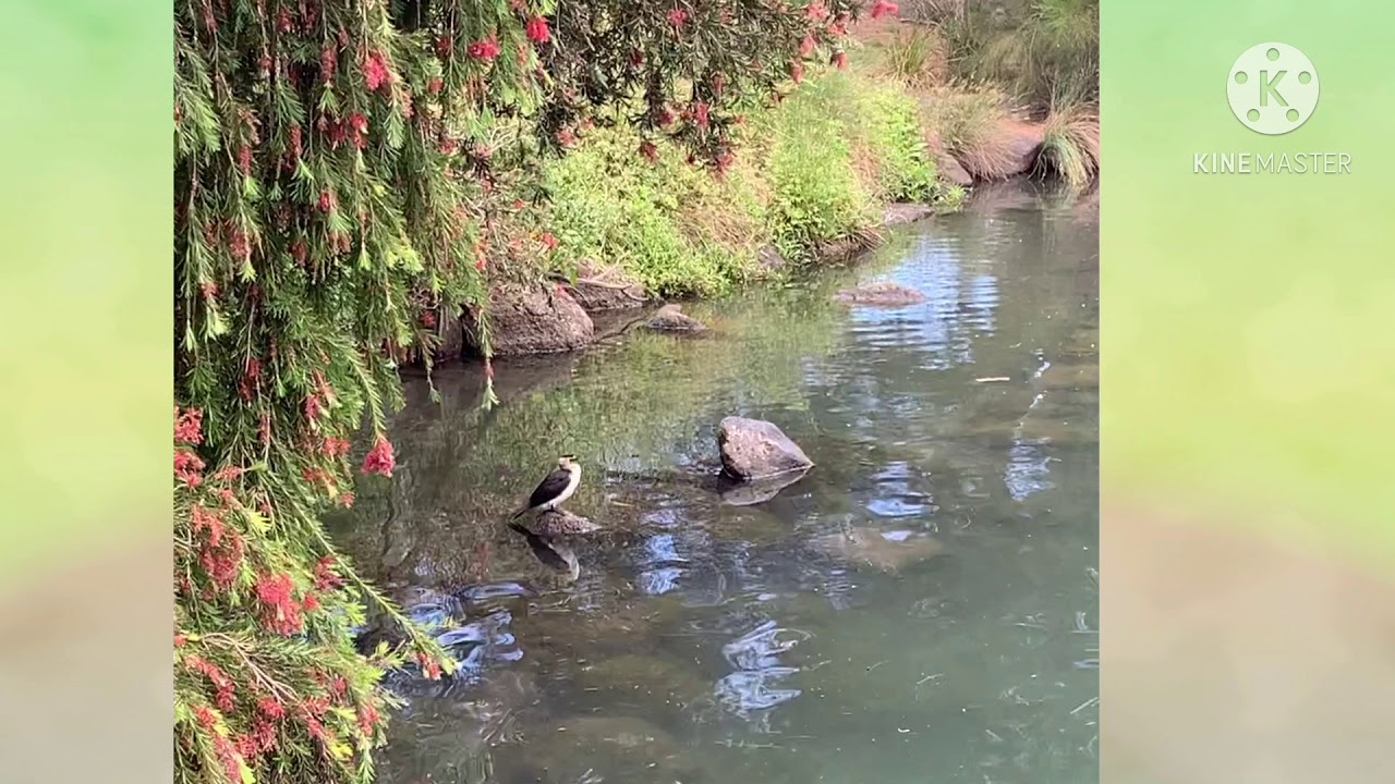 Edwards Lake in Reservoir - YouTube