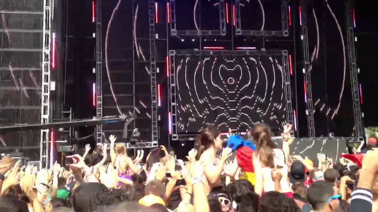 Steve Aoki @ Ultra Music Festival 2012 - YouTube
