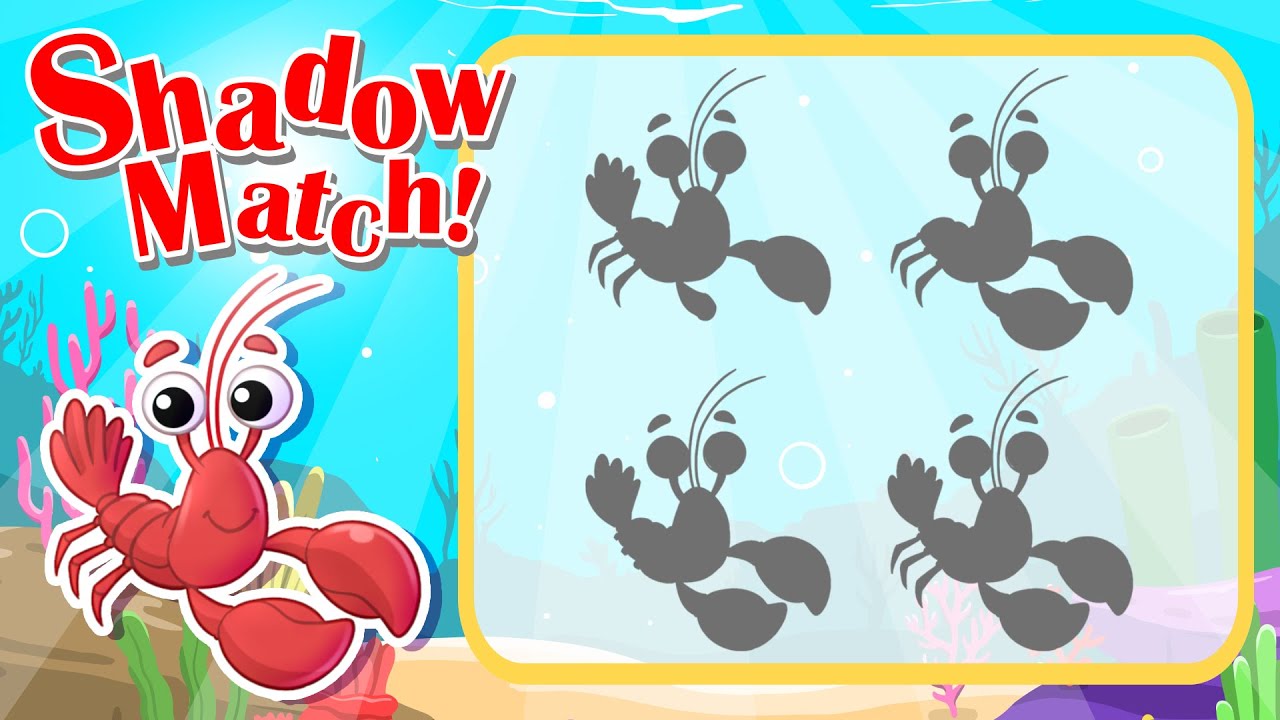 Guess the Animal Quiz! Shadow match game | Marah Eye Spy - YouTube