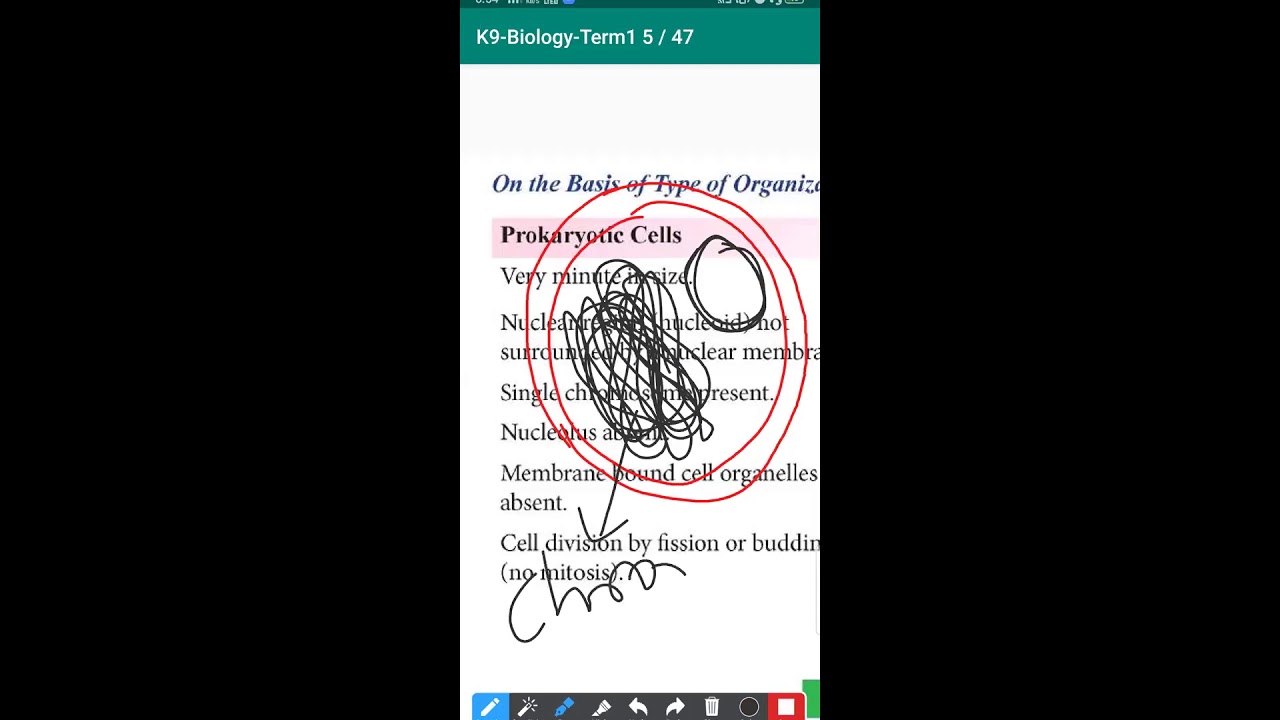 BIOLOGY IX-ICSE (24-05-2020) PART-1 - YouTube