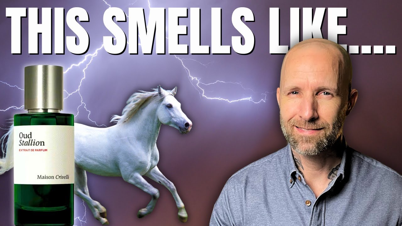 First Impression Review of OUD STALLION by Maison Crivelli | Full ...
