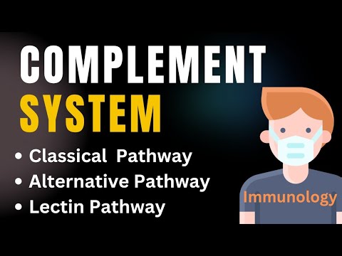 Complement system pathways in immunology (Animation) | Classical ...