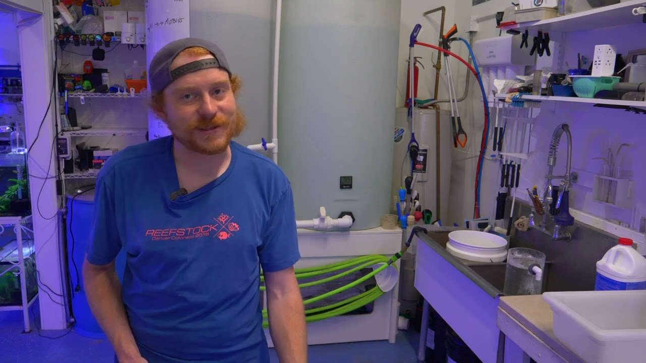 Achieving better results with CLEAN gear - YouTube