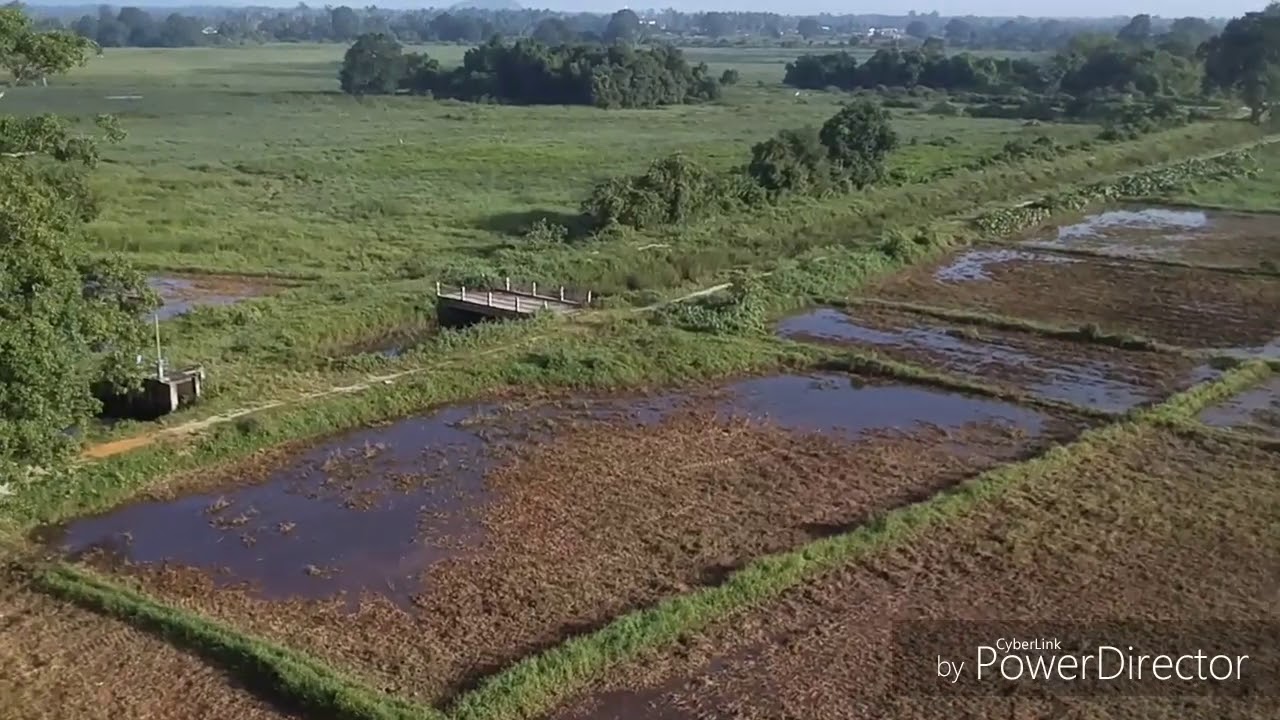Nature Malaysia Farm Village part2 - YouTube