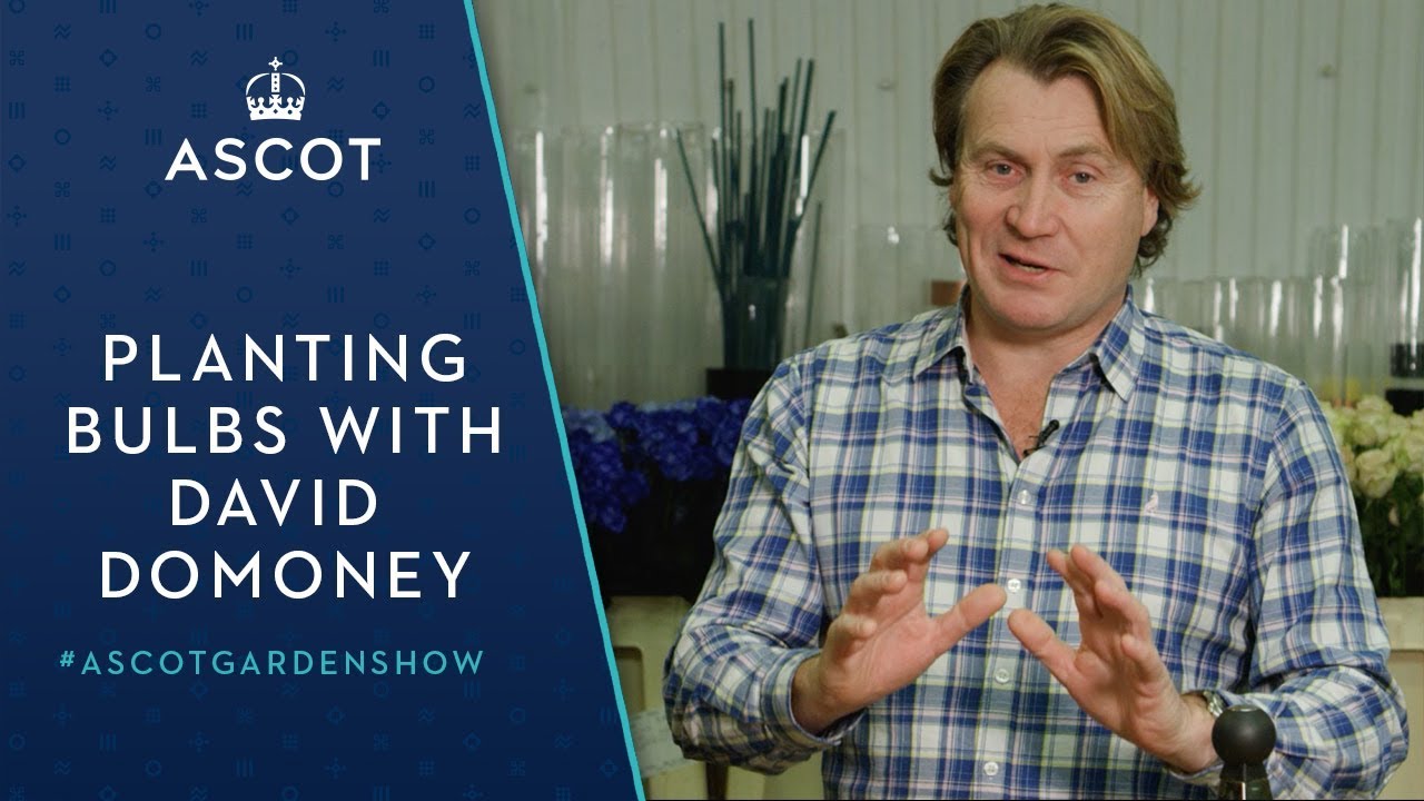 Gardening Tips from David Domoney | The Ascot Spring Garden Show - YouTube