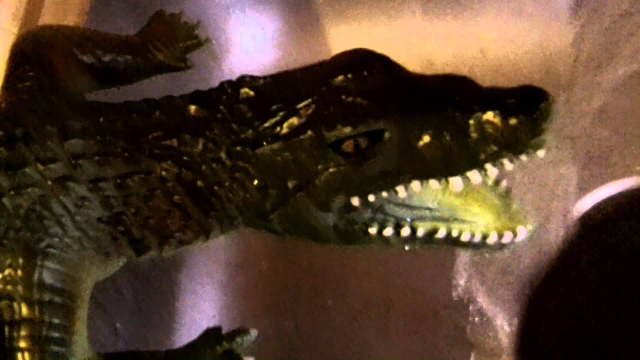 Toilet Gator takes the ice bucket challenge. - YouTube