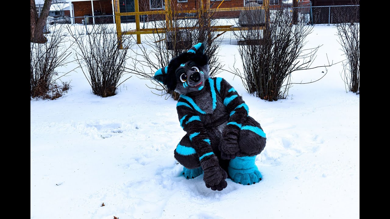 Snow Day in Fursuit - YouTube