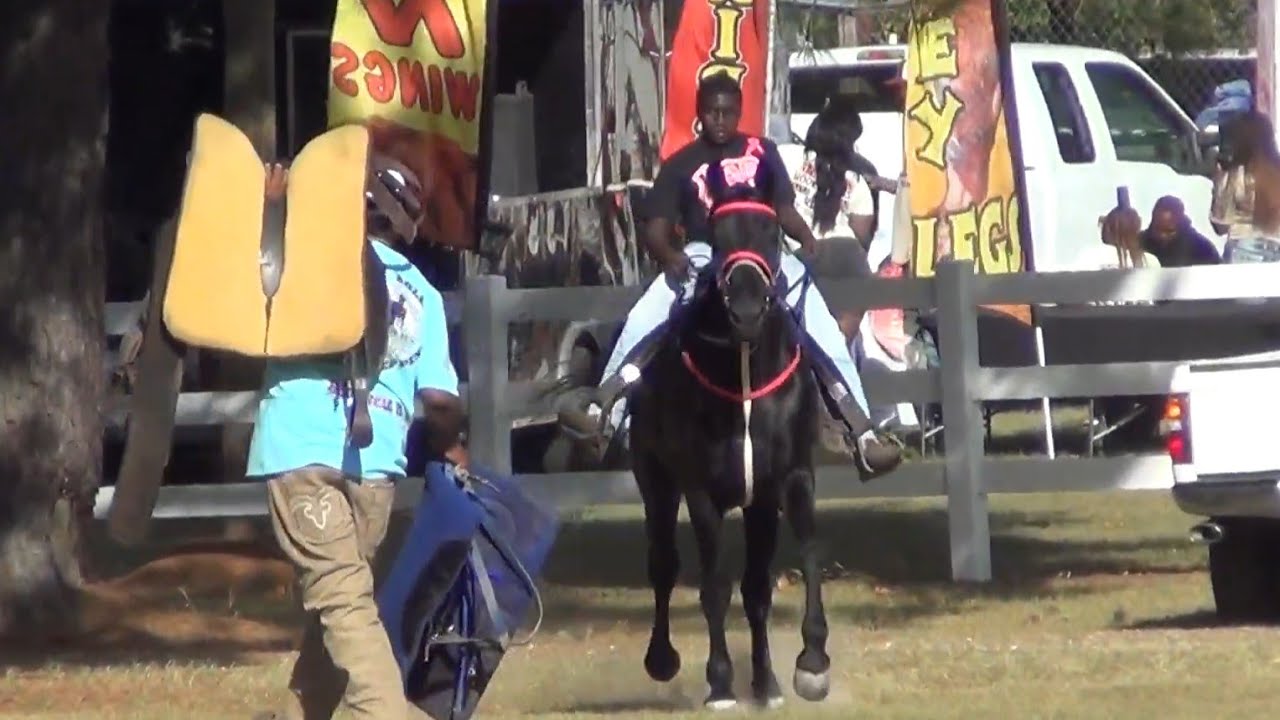 Big Black "Legend" Tennessee Walking Horse of ANNE BARNES STABLES - YouTube