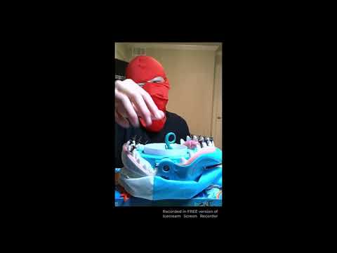 BaconShafi 2026 SharkBite Scam ENDING