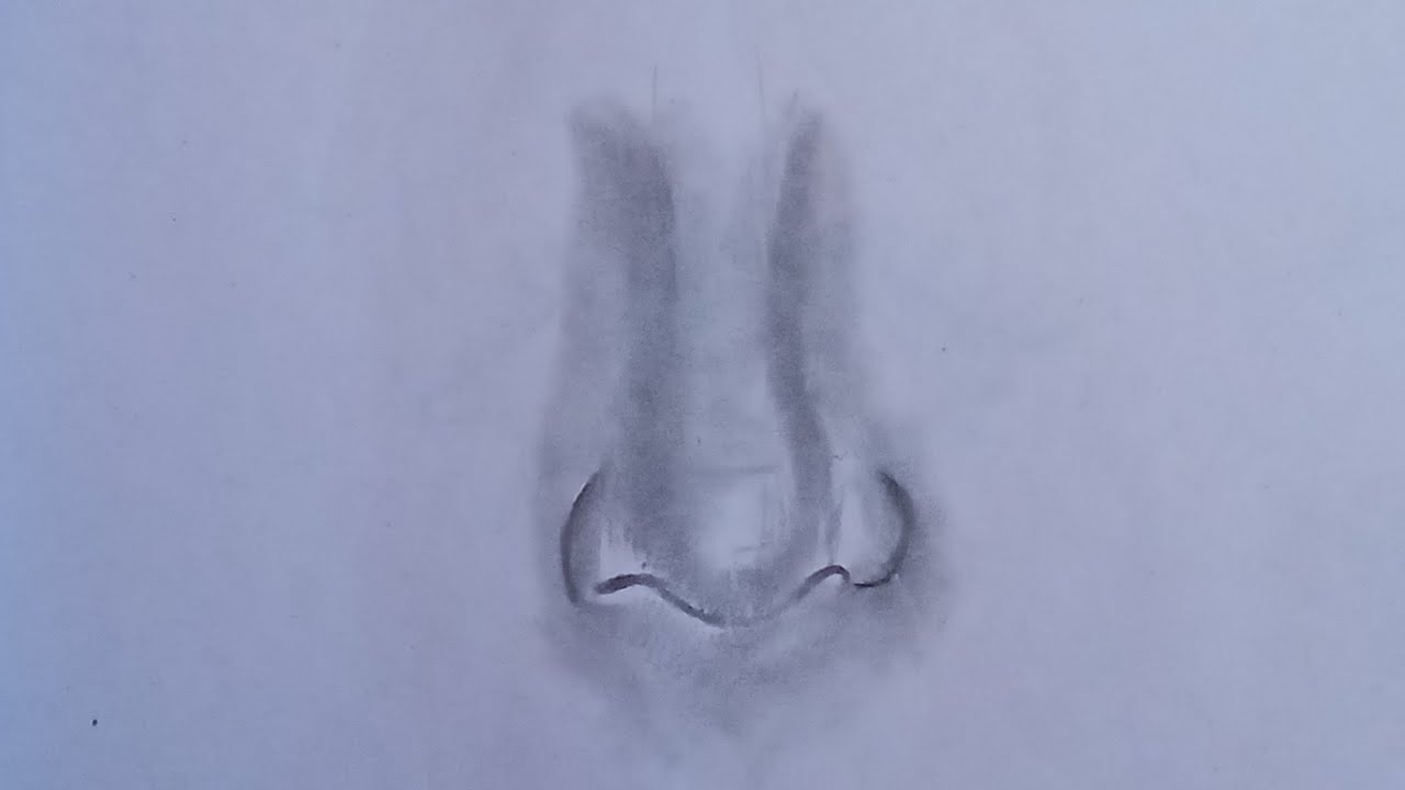 How to Draw Nose Realistic Tutorial Video Step By Step - YouTube