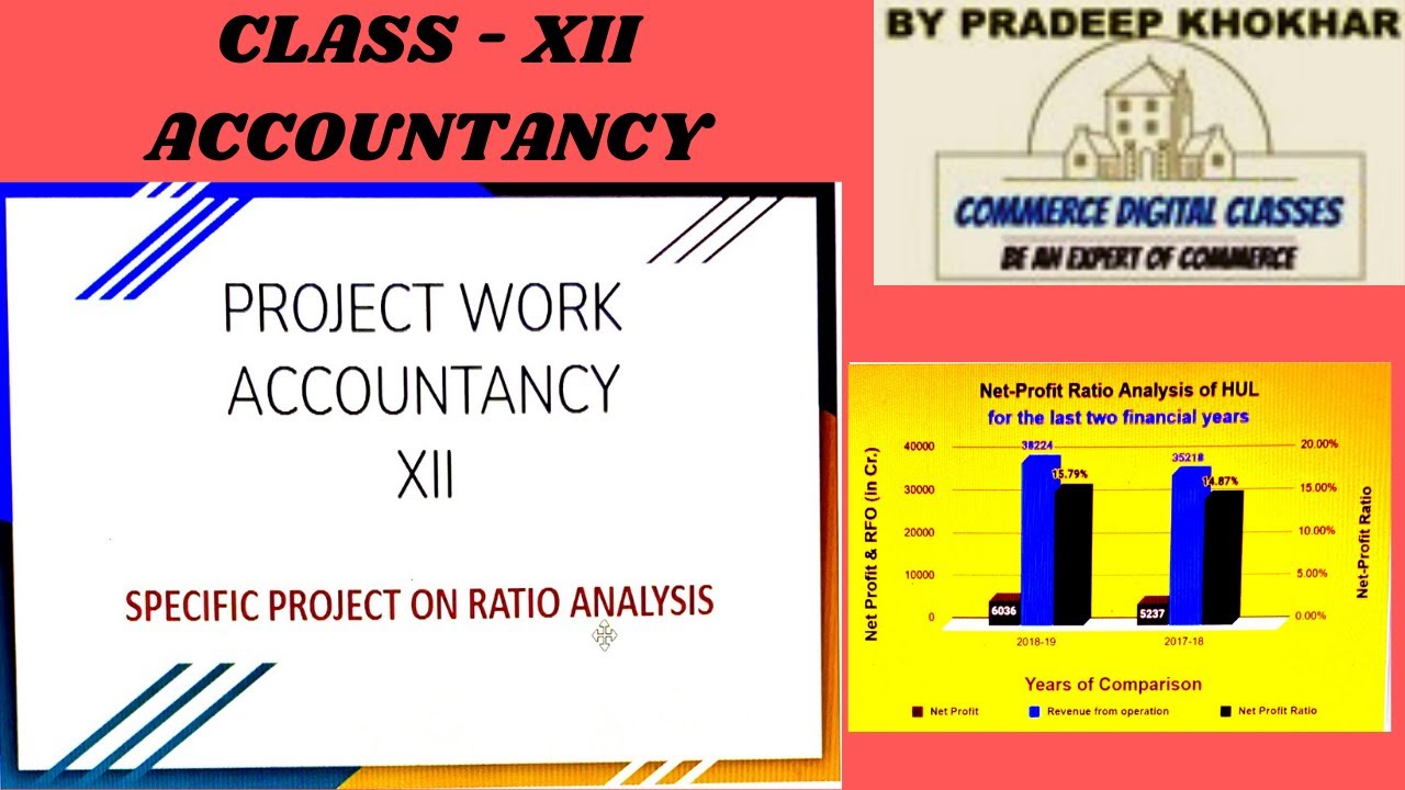 P-2, Project on Ratio Analysis (Class XII - Accountancy ) Commerce ...