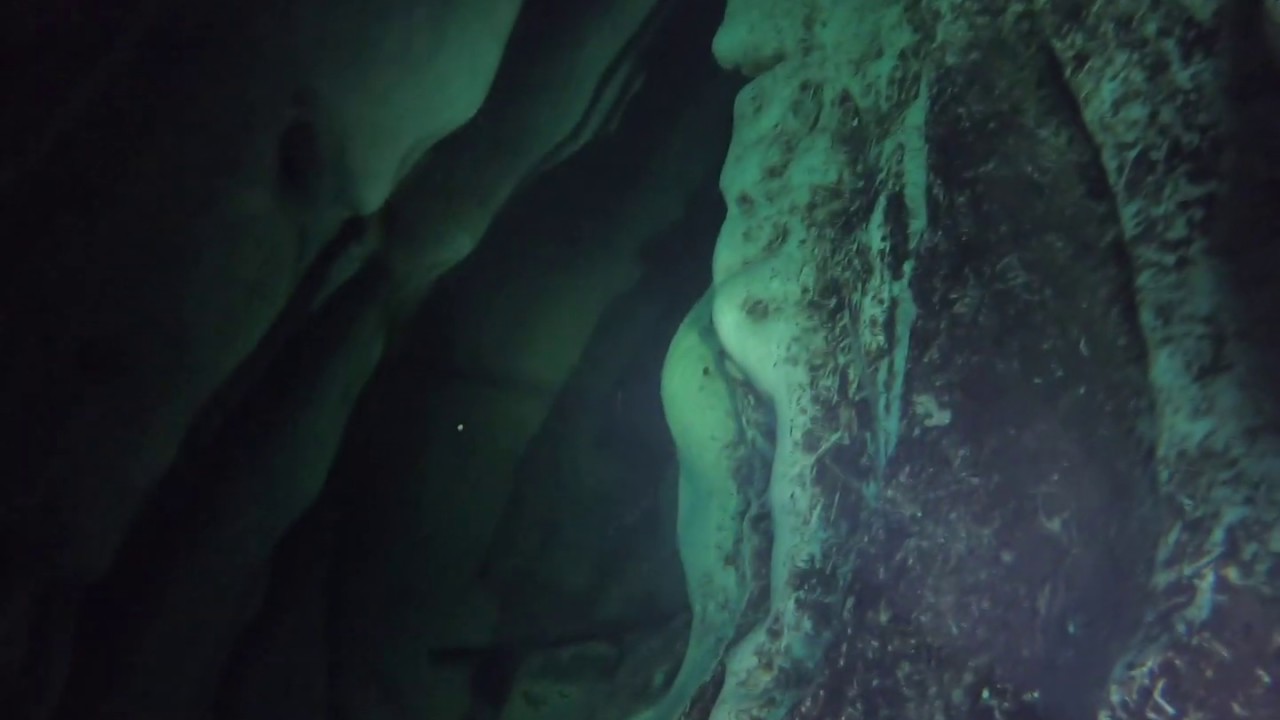 Scuba diving Blue Springs State Park - YouTube