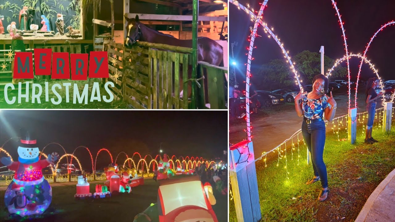 Grenada Christmas Eve | Nativity Scene, Sparkling Lights & Family Fun ...