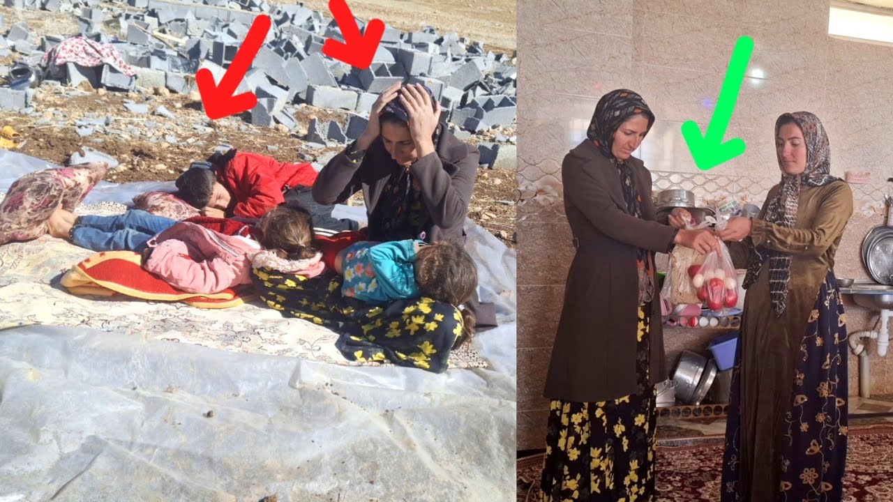 "A Mother's Despair: A Fruitless Search for Shelter in the Heart of the ...