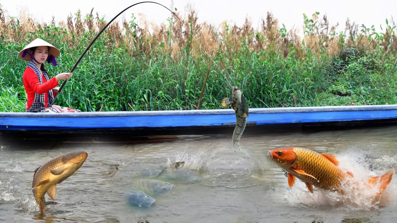 You won't believe the size of these fish - YouTube