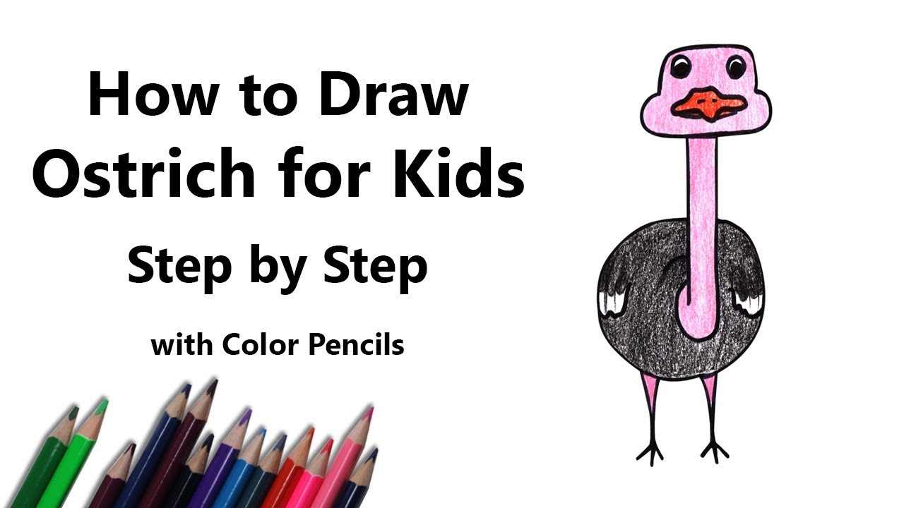How to Draw an Ostrich for Kids Step by Step - very easy - YouTube