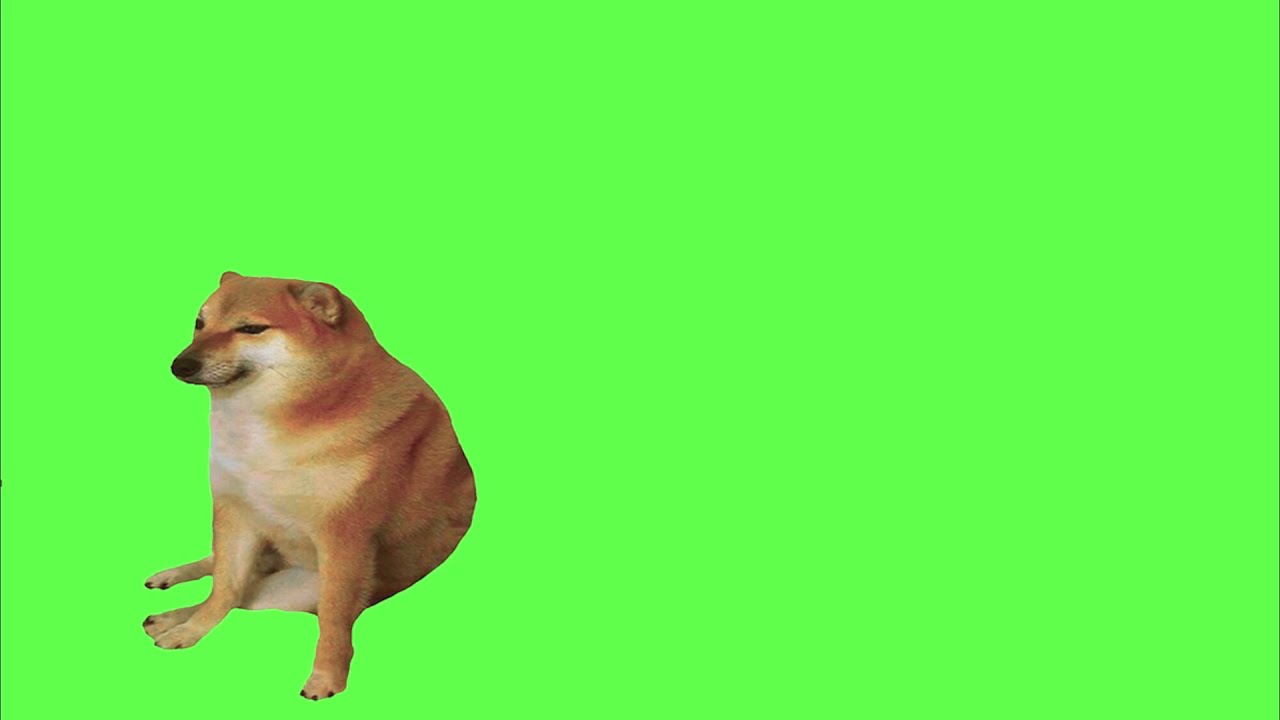 cheems walking green screen | 103 frames | VIDEOS TIME - YouTube