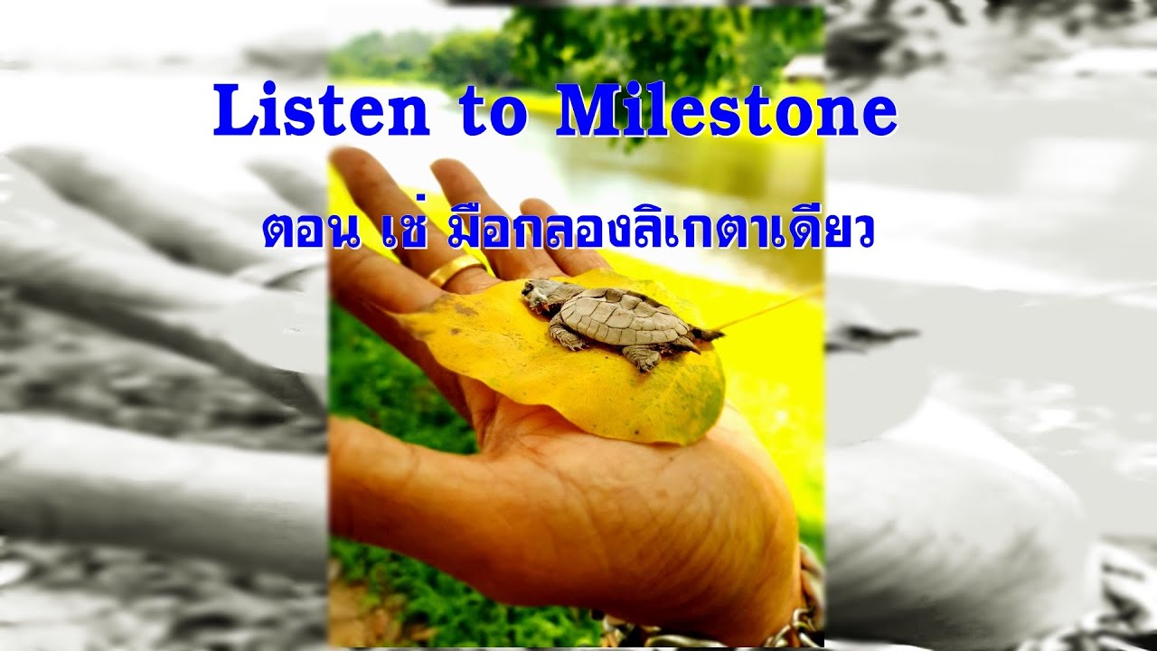 Listen to Milestone 19 l เช่ มือกลองลิเกตาเดียว - YouTube